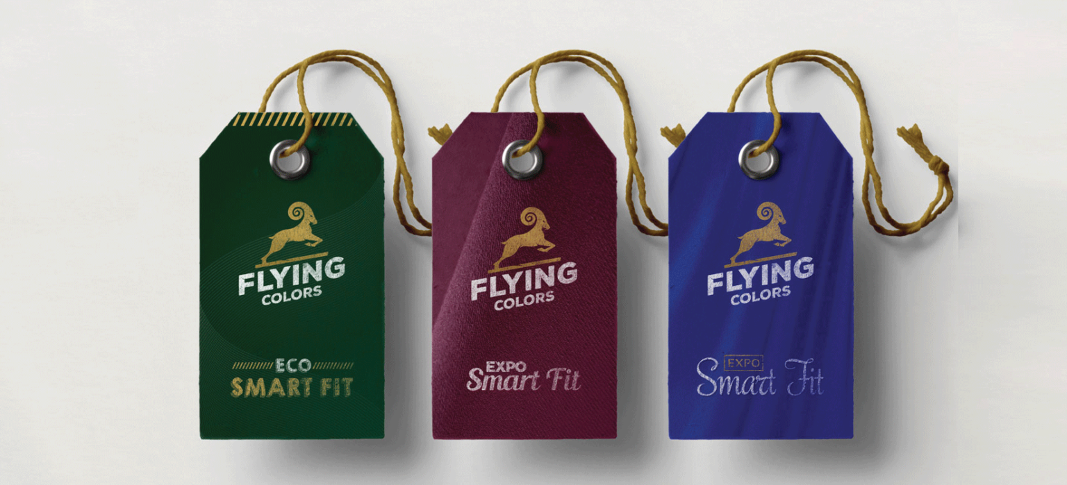Flying Colors | Logo & Brand Identity - Designpluz